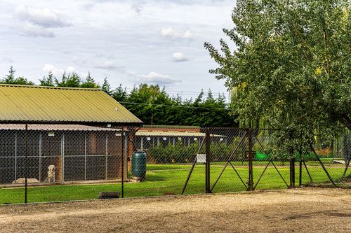 Pine Farm Kennels
